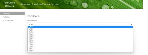 Fortigate Manuel IPS DB Upgrade Hocam SELAM