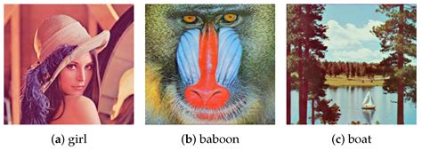 Entropy Free Full Text Rank Adaptive Tensor Completion Based On