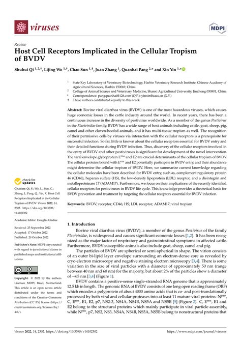 Pdf Host Cell Receptors Implicated In The Cellular Tropism Of Bvdv