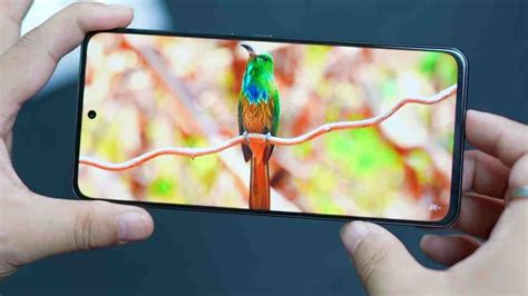 Vivo Y T Price In Pakistan Full Specifications Mobilehms