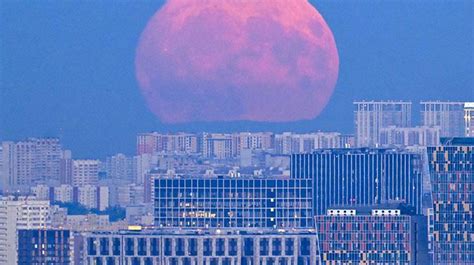 Moskova Da Muhte Em Dolunay Manzaras G Renler Hayran Kald G Ncel Haberler Milliyet