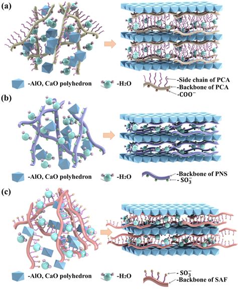 Schematic Diagram Of Intercalation Behavior Of Sp Molecules In