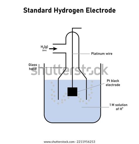 Standard Hydrogen Electrode Explanation At Leah Coote Blog