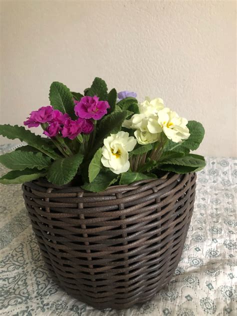 Кашпо з ротангу Будь я кого розміру під замовлення 500 грн Сад огород Одесса на Olx