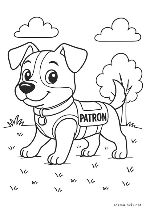 Розмальовки для дівчат — скачати безкоштовно та роздрукувати А4