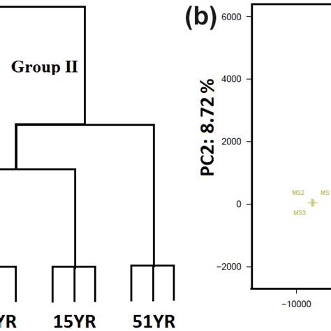 Hierarchical Clustering Analysis And Pca Of Bacterial Communities In Download Scientific