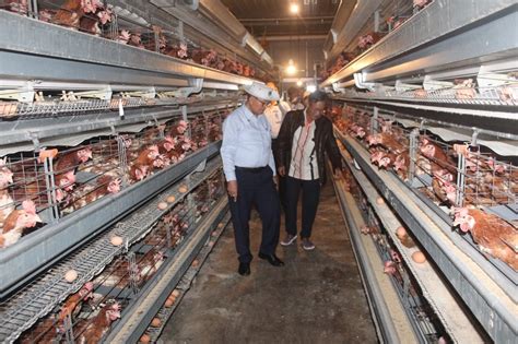 ပြင်ဦးလွင်ခရိုင်အတွင်း စိုက်ပျိုးမွေးမြူရေးလုပ်ငန်းများဖွံ့ဖြိုးတိုးတက်ရေး အားပေးကူညီ Myanmar