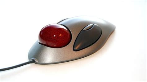 Definition Of Trackball Input At Anna Dunavant Blog
