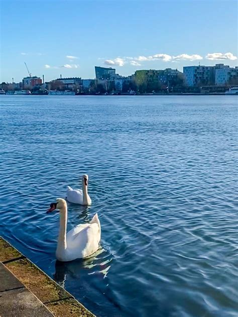 слънчев ден 🔆