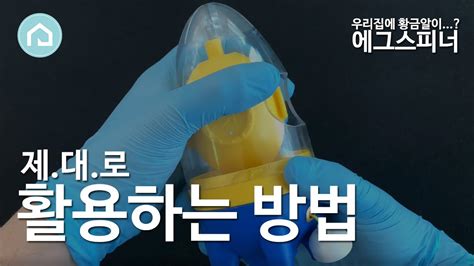 황금달걀 만들기 에그스피너 제대로 활용하는 방법｜리빙랩 livinglab youtube