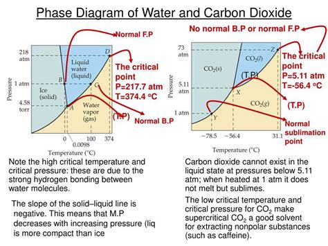 Consider The Phase Diagrams For Water And Carbon Dioxide Sol