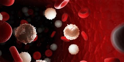 Diagnosing Leukemia Using Flow Cytometry