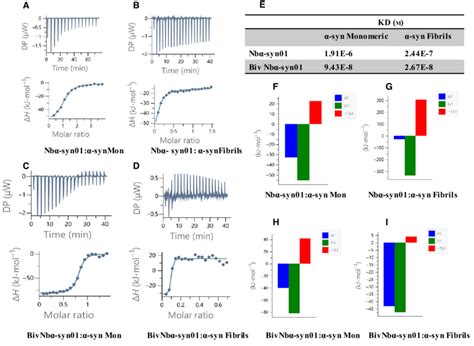 Itc Experiment For The Affinity Interaction Between A Download Scientific Diagram