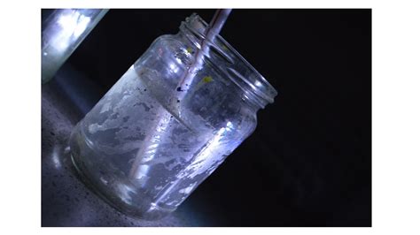 Light Experiment Xorose