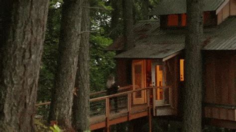 Would You Live In A Treehouse Boing Boing