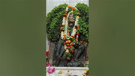 Krishnanagar Narsingh Dev 🙏🏼 Youtube