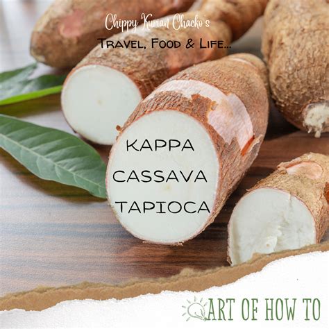 Kappa Cassava Tapioca Art Of How To