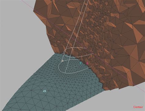 Overlapping Meshes Centaur Software