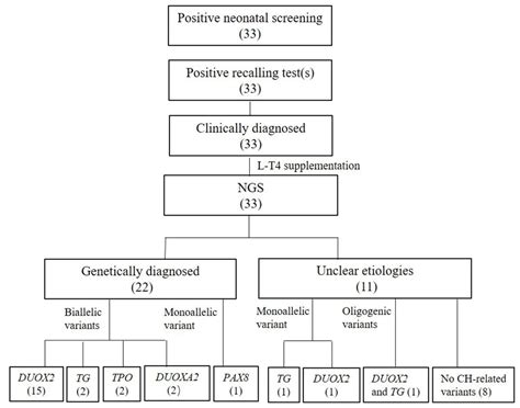 Jcm Free Full Text Genetic Factors Causing Thyroid