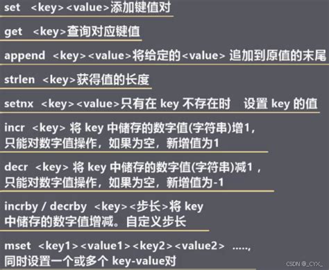 基础操作、数据类型 csdn博客