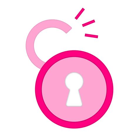 Unlock Security In Pink PNG