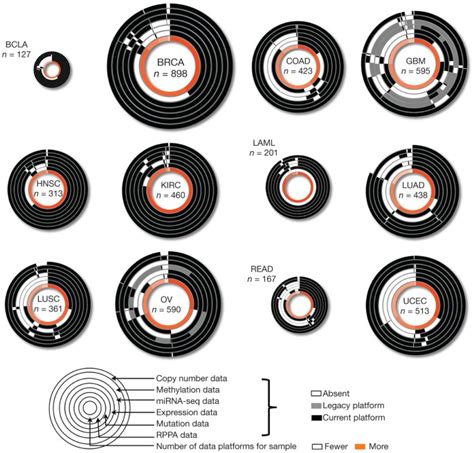 Enabling Transparent And Collaborative Computational Analysis Of Tumor Types Within The