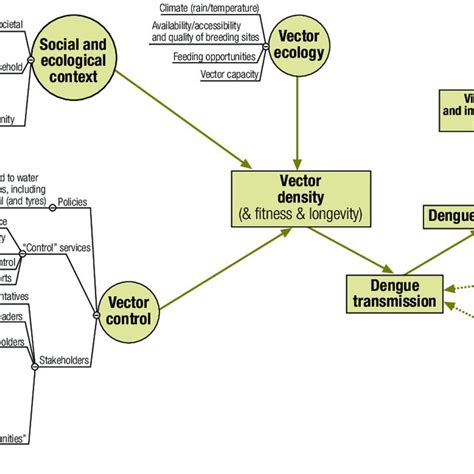 Eco Bio Social Research On Dengue In Asia A Conceptual Framework Download Scientific Diagram