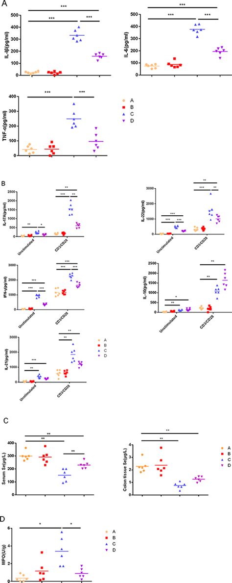 Selenium Yeast Alleviates Chronic Colitis Jir