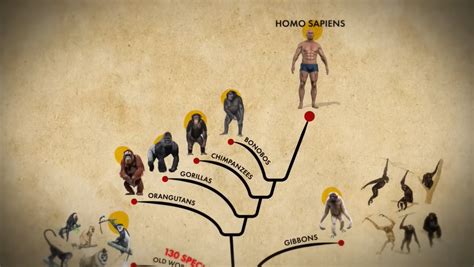 Women Then Vs Now What Can We Learn From These Historical… By Amna