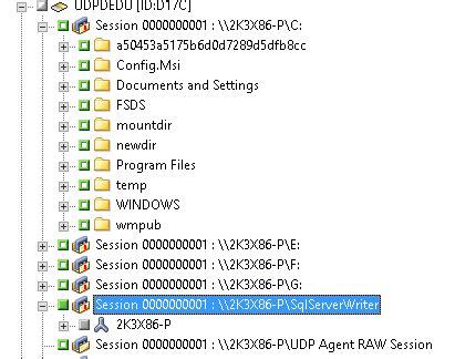 Recover UDP Data At Application Level Granularity