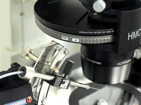 PGT Testing Fertility Clinic In Cyprus