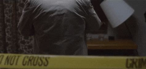 Funny Sharks GIFs Find Share On GIPHY