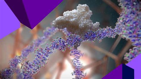 Decentralized Storage Is Powering The Future Of Genomics Destor