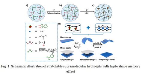 Stretchable Supramolecular Hydrogels With Triple Shape Memory Effect Ningbo Institute Of