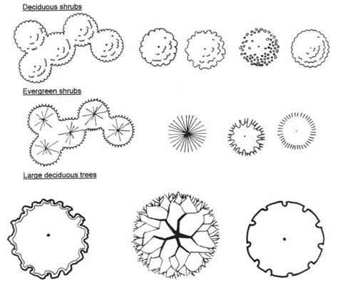 Tree Symbols In Plan Architecture Symbols Landscape Architecture Drawing Landscape Design