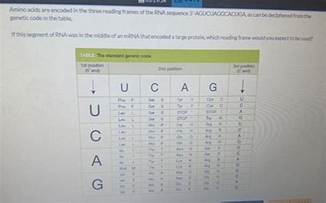 Solved Amino Acids Are Encoded In The Three Reading Frames Chegg Com