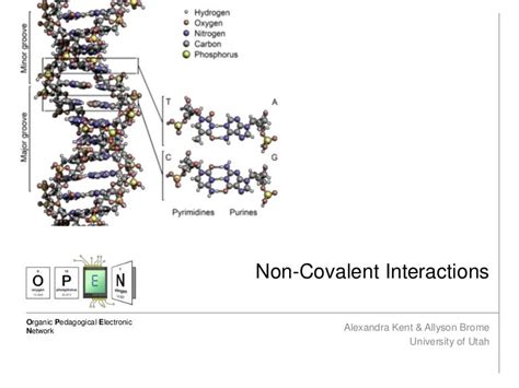 Non Covalent Interactions