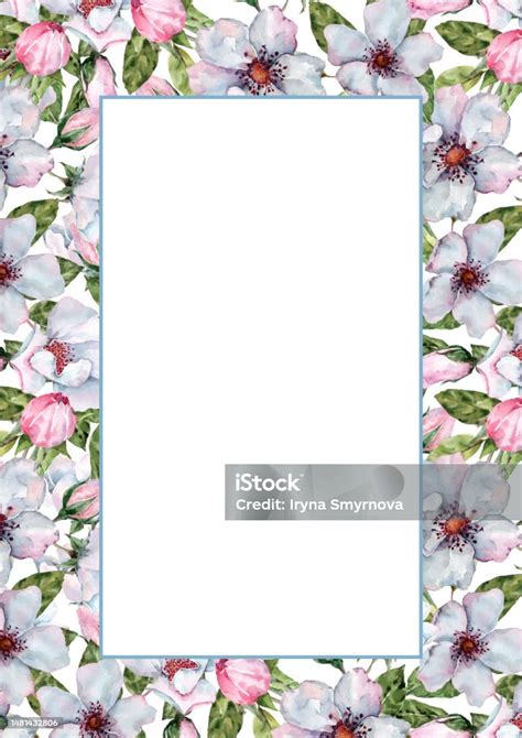 봄에 피는 야생 장미가 있는 꽃무늬 수직 프레임 나뭇 가지에 꽃 봉오리가있는 분홍색 로즈힙 꽃의 구성 손으로 그린 수채화 그림은 청첩장 카드를 위한 흰색 배경에 그려져 있다