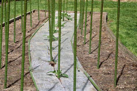 McHort Tree Stakes Ties For All Your Horticulture Needs