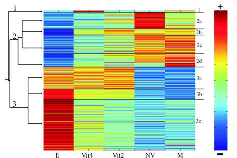 Coupled Two Way Clustering Analysis Of The Five Tested Groups Coupled