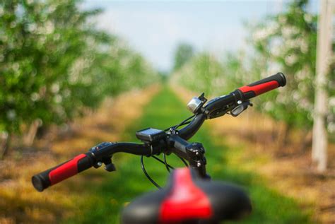정원에서 꽃 피는 나무의 배경에 자전거 속도계와 자전거 핸드 브레이크와 벨 산악 자전거 자전거 핸들 두발자전거에 대한 스톡 사진 및 기타 이미지 Istock