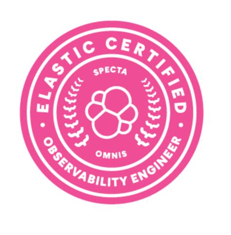 preparing for the elastic certified observability engineer exam
