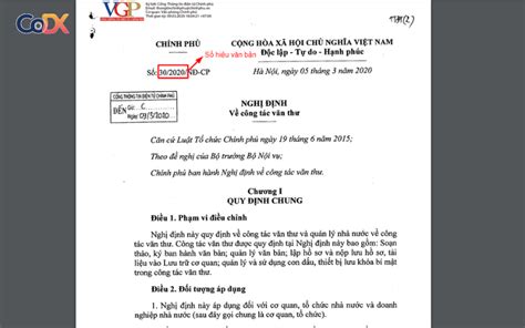 Văn Bản Thông Tin Lớp 10 Cánh Diều Hướng Dẫn Học Và Phân Tích Chi Tiết