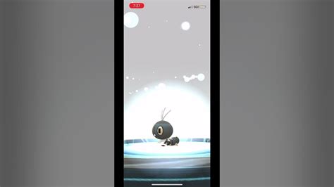 Pokemon Pokemongo Scatterbug Spewpa Vivillon Levelup Jungle