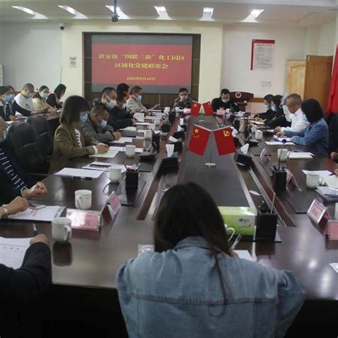 勠力同心聚合力 共驻共建谱新篇丨洪安镇召开“四联三新”化工园区区域化党建联席会社区企业服务
