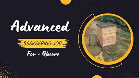 QBCore Scripts Custom QBcore Scripts For The FiveM Experience