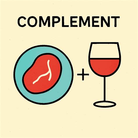 Complement Meaning And Examples Developers Blog