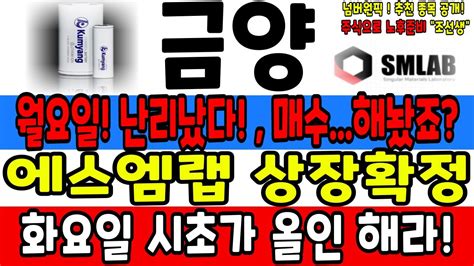 금양 에스엠랩 상장확정 화요일 시초가 올인해라 월요일 난리났습니다 매수해놨죠 금양 미국증시 조선생 Youtube
