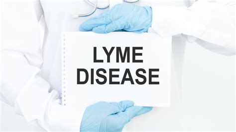 Lyme Disease The Importance Of Early Detection With Rapid Testing Spectrum Medical