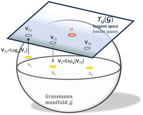 Multivariate Time Series Clustering With State Space Dynamical Modeling And Grassmann Manifold